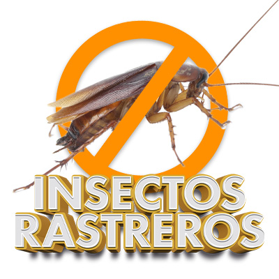 Pestcontrol | Fumigaciones Irapuato